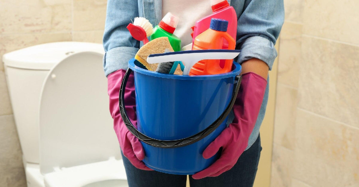 Top 5 Habits for Maintaining Toilet Hygiene Like a Pro – Tenaday